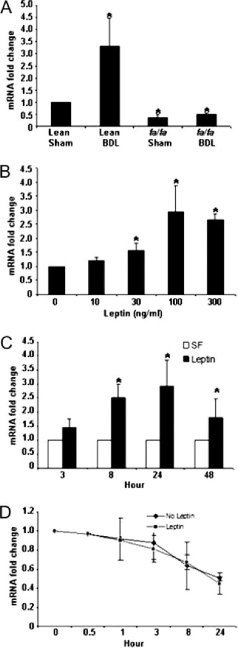 Figure 1 From Leptin Increases Tissue Inhibitor Of Metalloproteinase I