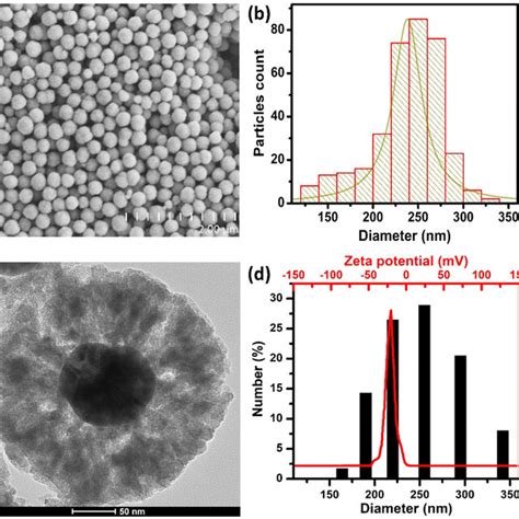 The Fe Sem Image A Histogram Of Particle Size Distribution Obtained