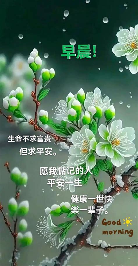 Pin By May On Good Morning Wishes Chinese Good Morning Happy Good