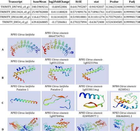 Relative Expression Values Of The Npr Genes In The Persian Lemon