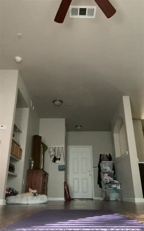 Heidi Lee Bocanegra Nude Porn Pictures Xxx Photos Sex Images 4064471 Page 3 Pictoa