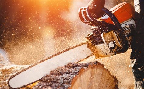 How To Properly Clean Your Chainsaw Chain For Improved Performance