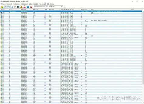 flv封装格式详解 知乎