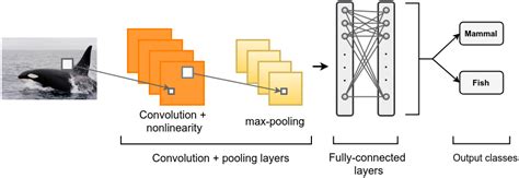 Accelerometer Based Human Fall Detection Using Convolutional Neural