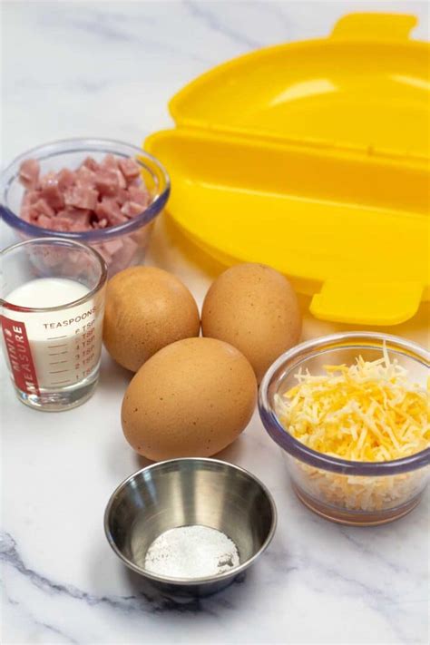 Microwave Omelet Easy Breakfast To Start Your Day