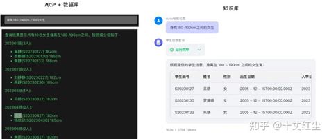 Mcp 数据库，一种比 Rag 检索效果更好的新方式！ 知乎