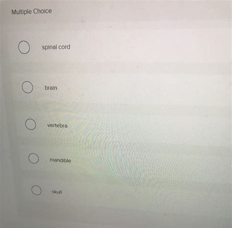 Solved Which Structure Is Highlighted Multiple Choice O