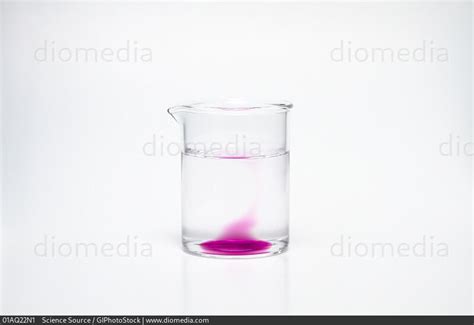 STOCK IMAGE BT AQ N Science Source Search Stock Photos Images Pictures