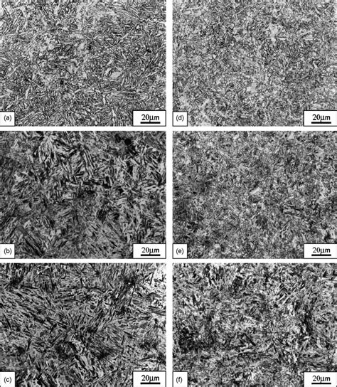 Microstructures Of Specimens At Deformation Condition Of A 1150 Download Scientific Diagram