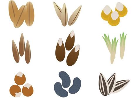 Seeding Vector Art Icons And Graphics For Free Download