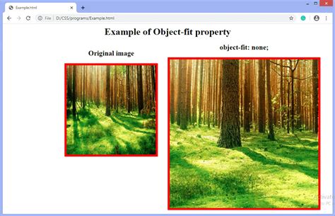 Css Object Fit属性用法及代码示例 纯净天空