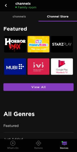 How To Add Channels To Roku In Endless Entertainment