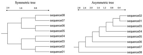 Three Way Alignment Improves Multiple Sequence Alignment Of Highly Diverged Sequences