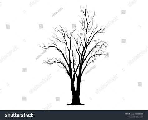 Black Branch Tree Naked Trees Silhouettes Stock Vector Royalty Free 2189918051 Shutterstock