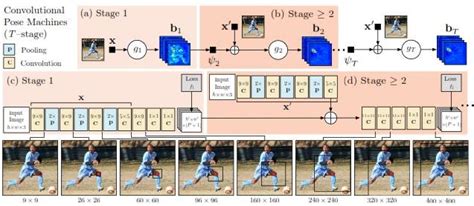 Convolutional Pose Machine Download Scientific Diagram