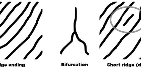 what is palm vein recognition overview use cases and articles