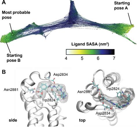 A Conformation Space Network Describing All Of The Binding Poses Found