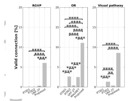 valid connection of visual pathway subdivisions using different
