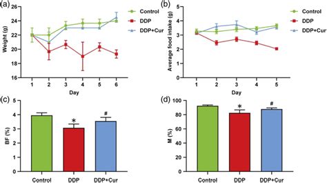 Curcumin Treatment Ameliorated Ddp Induced Body Weight Food Intake