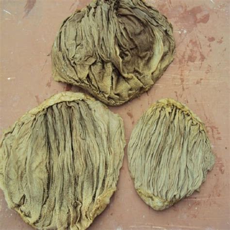 Salted Beef Omasum Frozen Beef Omasum Best Pricenetherlands Price