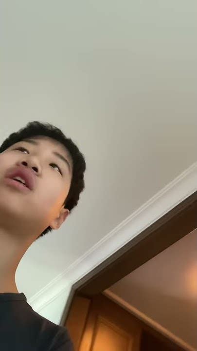 뭔가 이상한 햄스터 Youtube