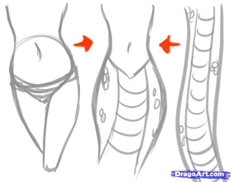 How To Draw A Naga Snake Woman Step Snake Drawing Drawings Images And Photos Finder
