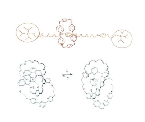 Electrochemically Controllable Motion In Rotaxanes And Catenanes 7 Download Scientific Diagram