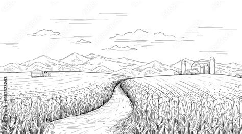 Vetor De Hand Drawn Field Landscape Corn Farm Sketch With Rural House
