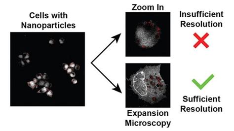 Super Resolution Imaging Advances Could Help Nanomedicine Development Technology Networks
