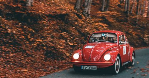 Tim Zhao Coda Profile