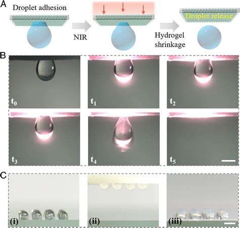 Bioinspired Programmable Wettability Arrays For Droplets Manipulation Pmc