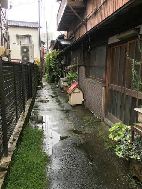 わかません I don t know I just know it s beautifulおしゃれまとめの人気アイデアPinterestunabanana バナナ una