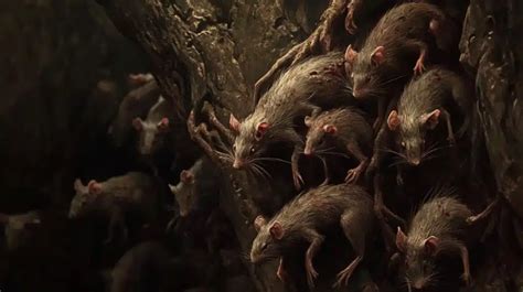 A Comprehensive Guide To The Swarm Of Rats In Dandd 5e Dungeonsolvers