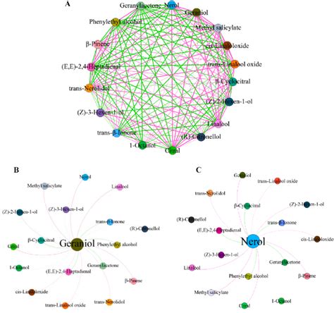interaction analysis of key volatile compounds based on correlation