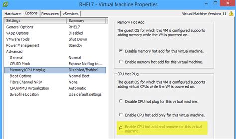 Hot Remove Memory Vsphere