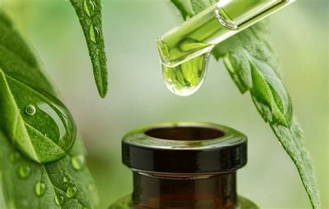 The Differences Between CBD And CBD Flower