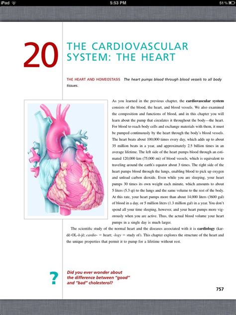 Principles Of Anatomy And Physiology Chapter 20 The Cardiovascular System The Heart 1 Book