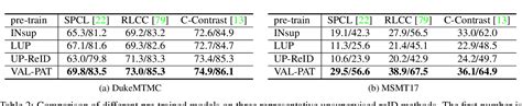 Learning Transferable Pedestrian Representation From Multimodal Information Supervision