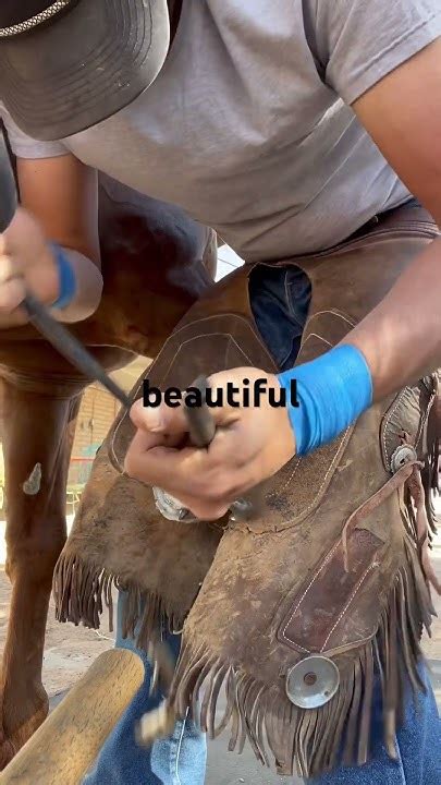 Worflow Hooftrims Youtube