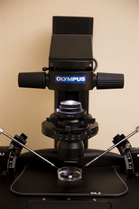 Our Facilities And Equipment Eugonia