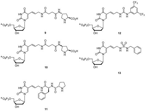 Nucleoside Triphosphates — Building Blocks For The Modification Of