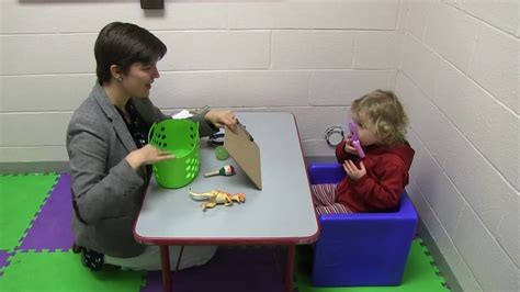 Your Mswo Preference Assessment Guide Get It Right In 5 Steps Researchhubblog