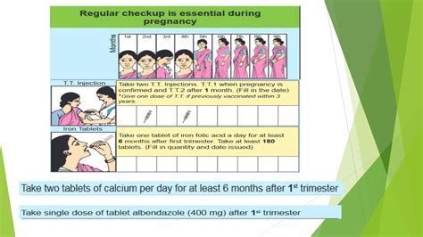 Maternal Health And Nutrition Care During Pregnancy And Lactation Pdf