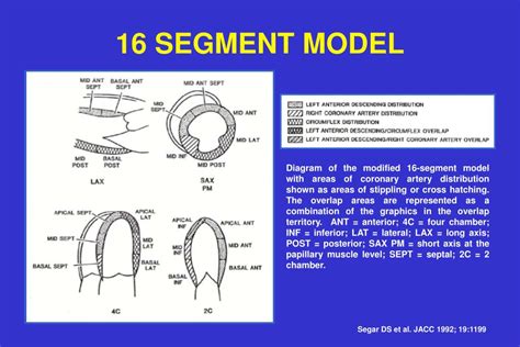 Ppt Stress Testing Powerpoint Presentation Free Download Id1269163