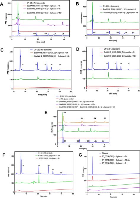 Hplc Analysis Of The Enzymatic Reactions Of Glycoside Hydrolases In Download Scientific Diagram