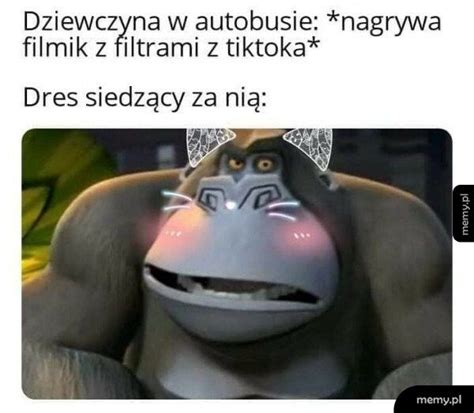 Bartek To Gej Nie Nie Bartek To Frajer Jebany W Dupe Pierdolony Chuj