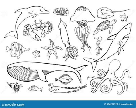 Marine Life Drawing For Competition How To Draw A Sea Animal Easy