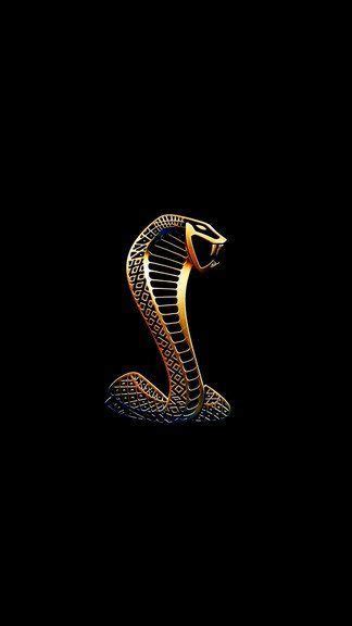 7 Shelby Mustang Logo Ideas Mustang Logo Mustang Mustang Wallpaper