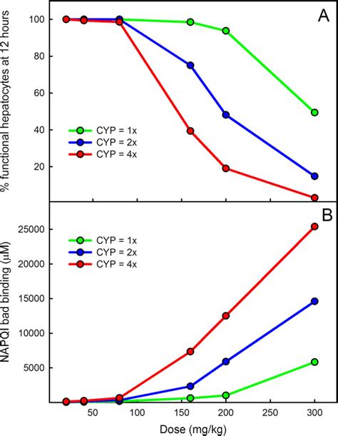 The Effects Of Apap Dose And Cyp Activity On Covalent Binding And