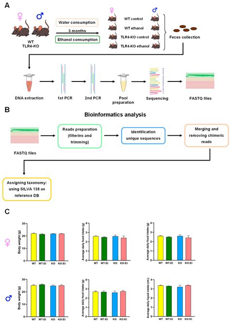 Metagenomics Reveals Sex Based Differences In Murine Fecal Microbiota